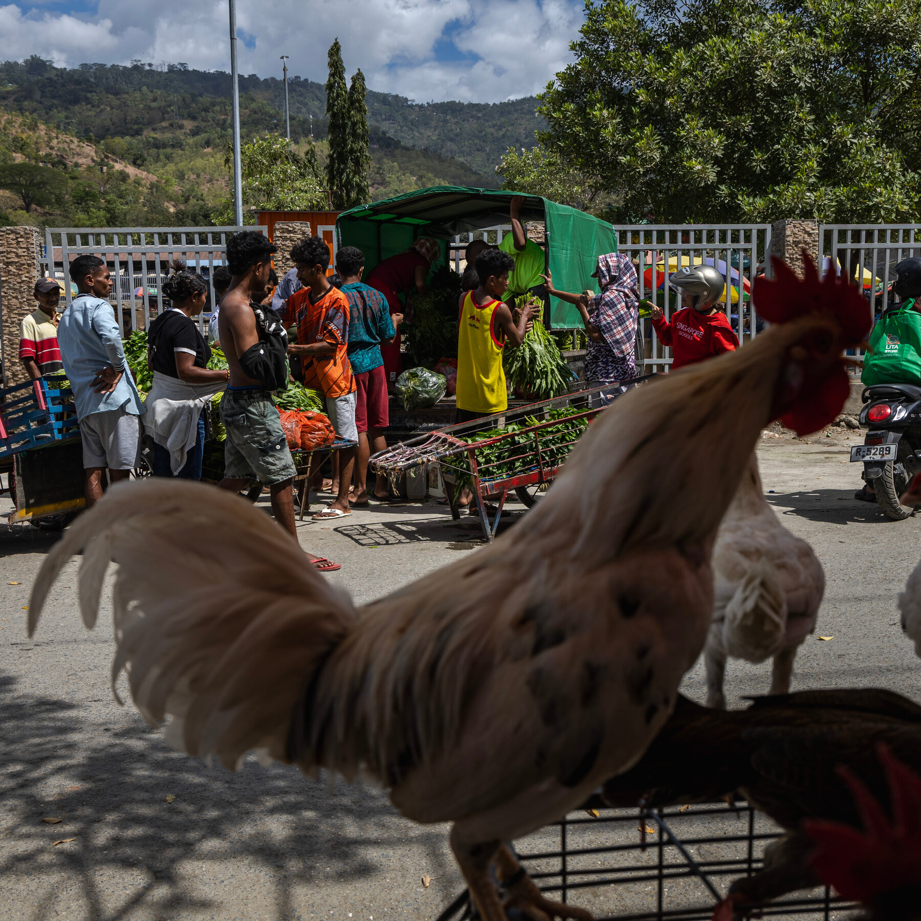 East Timor’s Challenges Two Decades After Independence - Safe Airport Gas